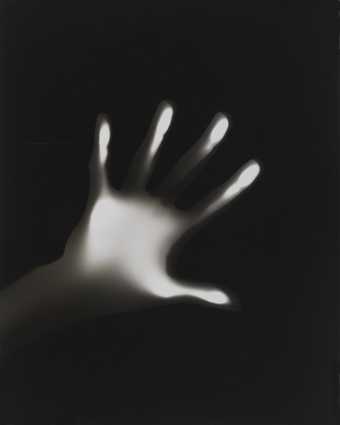 What is A Photogram: Understanding, Meaning & Explanation!